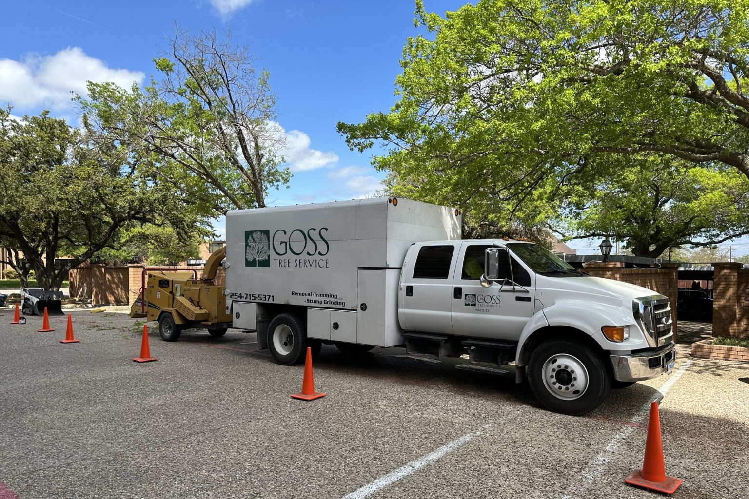 Professional Tree Service in Waco, TX